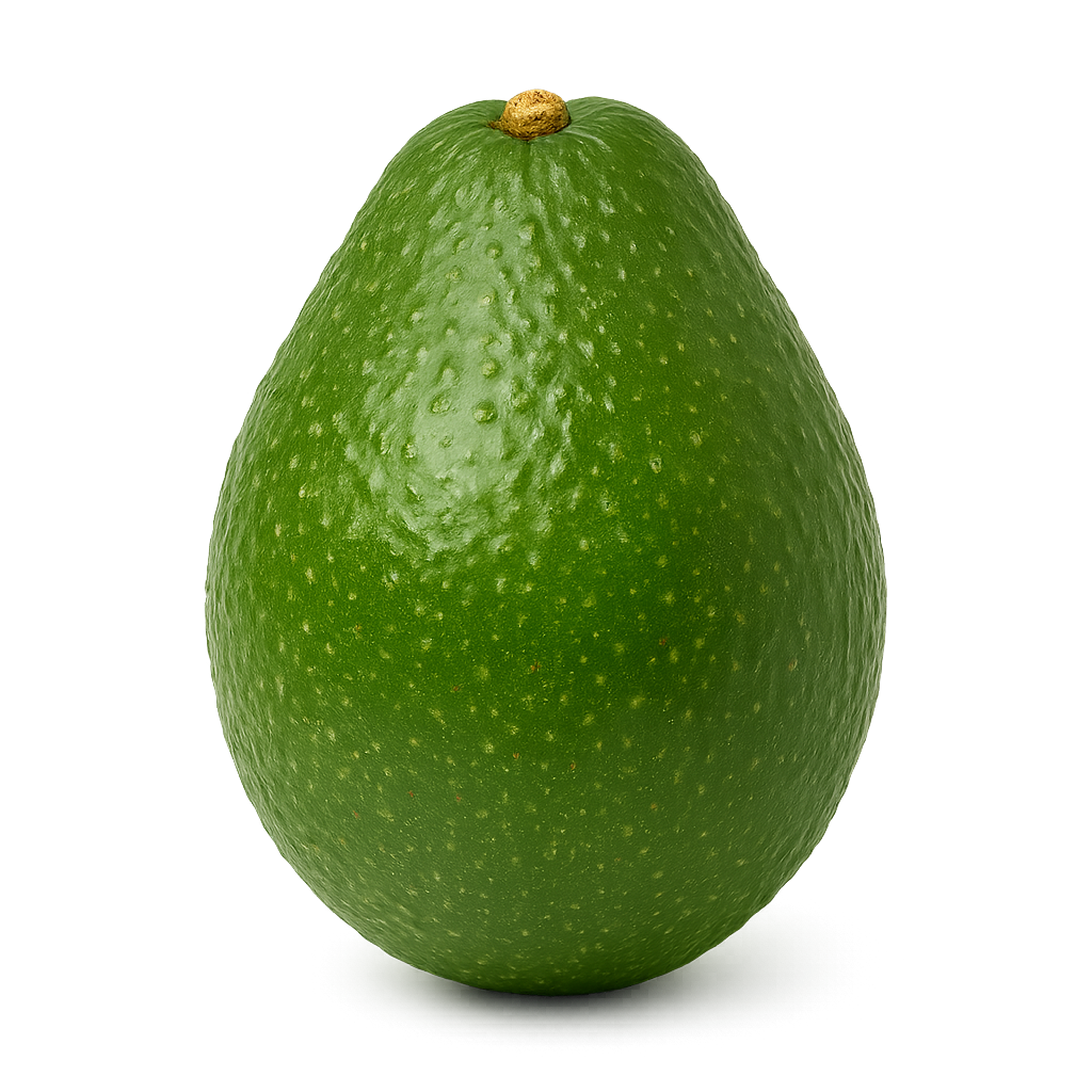 Avocado